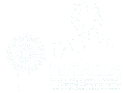 CONOCE A MICAELA – MICAELA